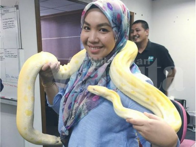 Ikut Resepi Arwah Maknya, Wanita Ini Dedah Cara Buat Lepat Bunga Cica ...