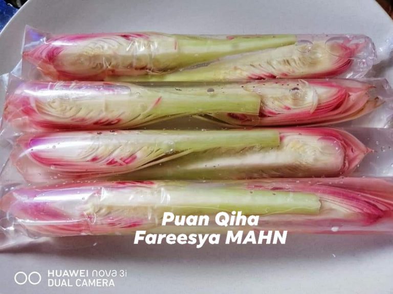 Panduan SUKATAN Bancuh Simen Untuk Ikat Bata, Plaster, Render & Konkrit