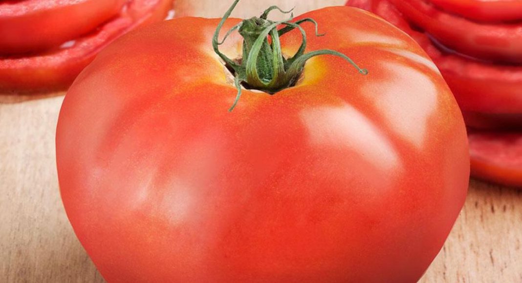 6 Sebab Kenapa Wanita Kena Amalkan Minum Air Lemon Suam Setiap Pagi ...