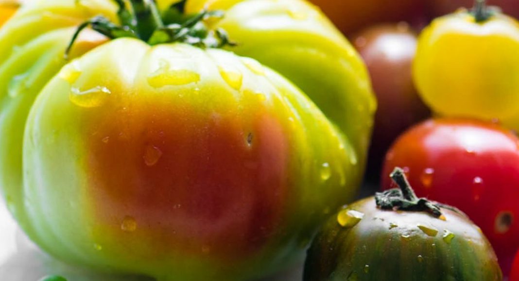 6 Sebab Kenapa Wanita Kena Amalkan Minum Air Lemon Suam Setiap Pagi ...