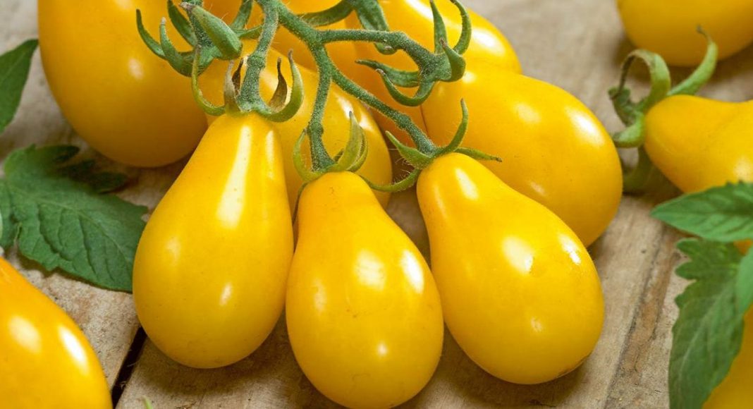 6 Sebab Kenapa Wanita Kena Amalkan Minum Air Lemon Suam Setiap Pagi ...