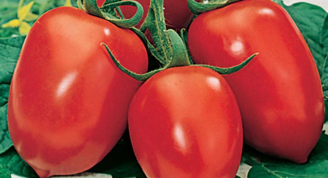 6 Sebab Kenapa Wanita Kena Amalkan Minum Air Lemon Suam Setiap Pagi ...