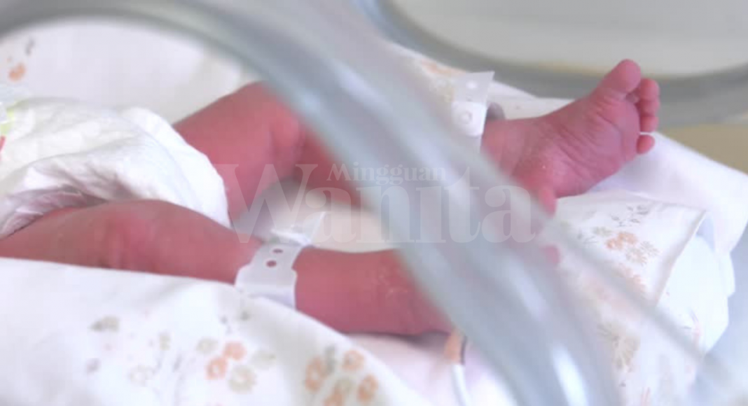 Ikut Resepi Arwah Maknya, Wanita Ini Dedah Cara Buat Lepat Bunga Cica ...