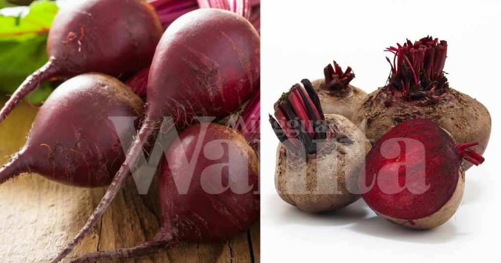 Mungkin Kita Tidak Suka Ubi Bit, Tapi Banyak Kebaikannya Untuk Kesihatan