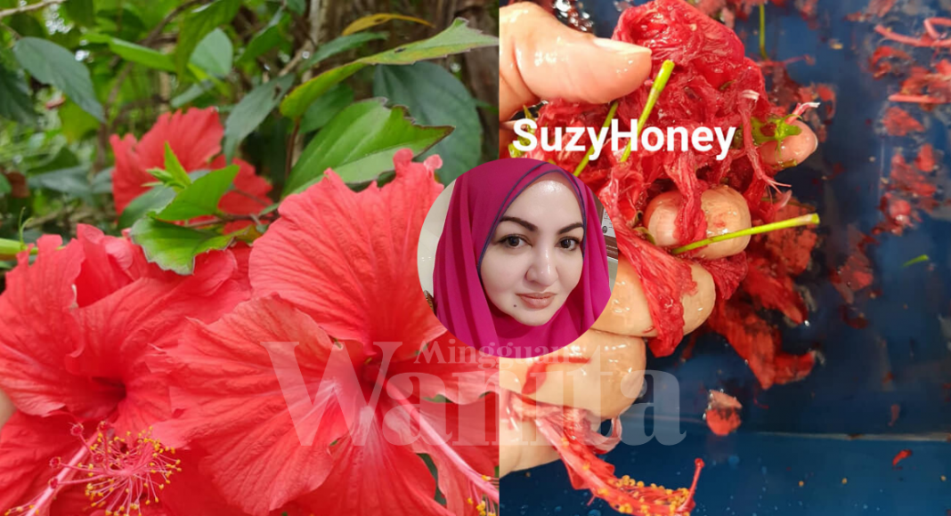 Amalan Air Ramasan BUNGA RAYA, Umur 60-an Rambut Sihat Lebat Hitam!