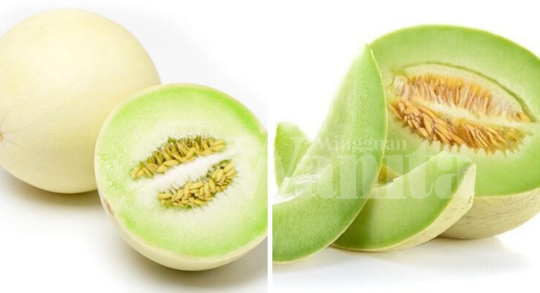 TIGA Jenis Buah Tembikai Ini Khasiatnya TERBAIK, Sedap Tidak Terkata!