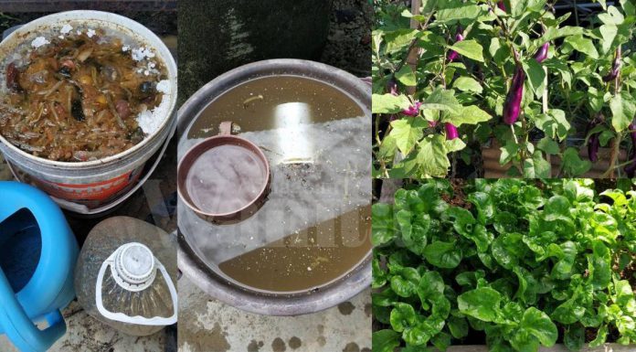 Tak Payah Kukus, Tanak Pulut Dalam Rice Cooker LAPIK Penutup Periuk ...