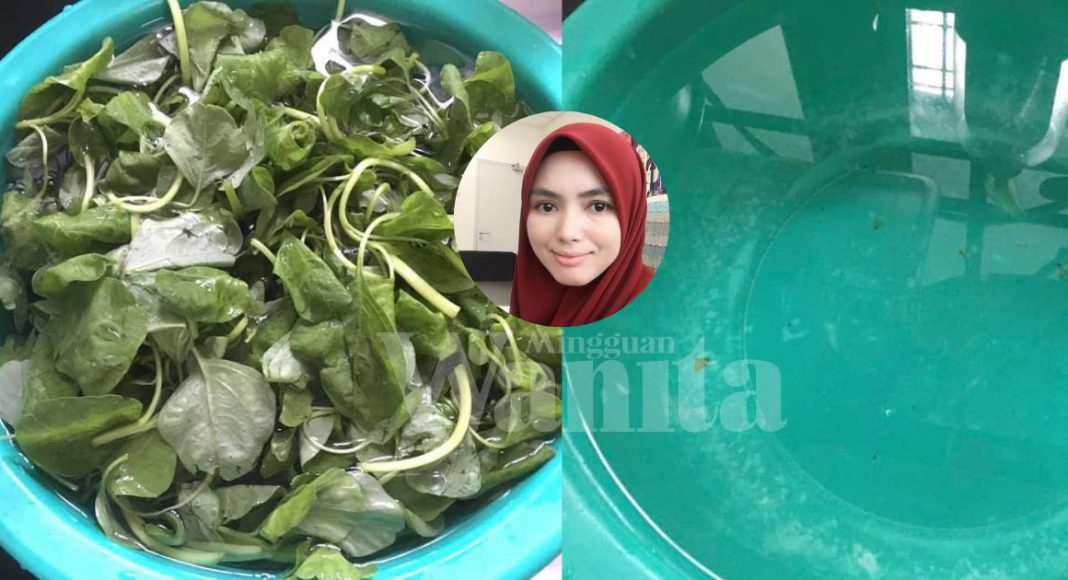 Pensyarah Kimia Jelaskan Ini Cara Sebaiknya Bila CUCI Sayur & Buah!