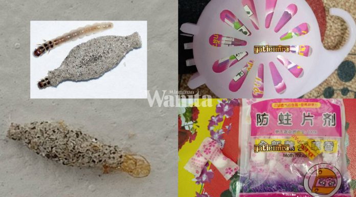Wanita Ini Kongsi Cara Mudah Nak Hapus & Kawal Ulat Habuk Di Rumah