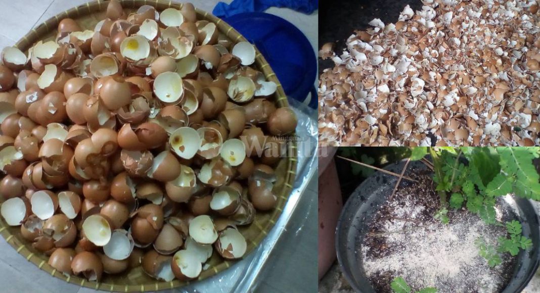 Panduan SUKATAN Bancuh Simen Untuk Ikat Bata, Plaster, Render & Konkrit