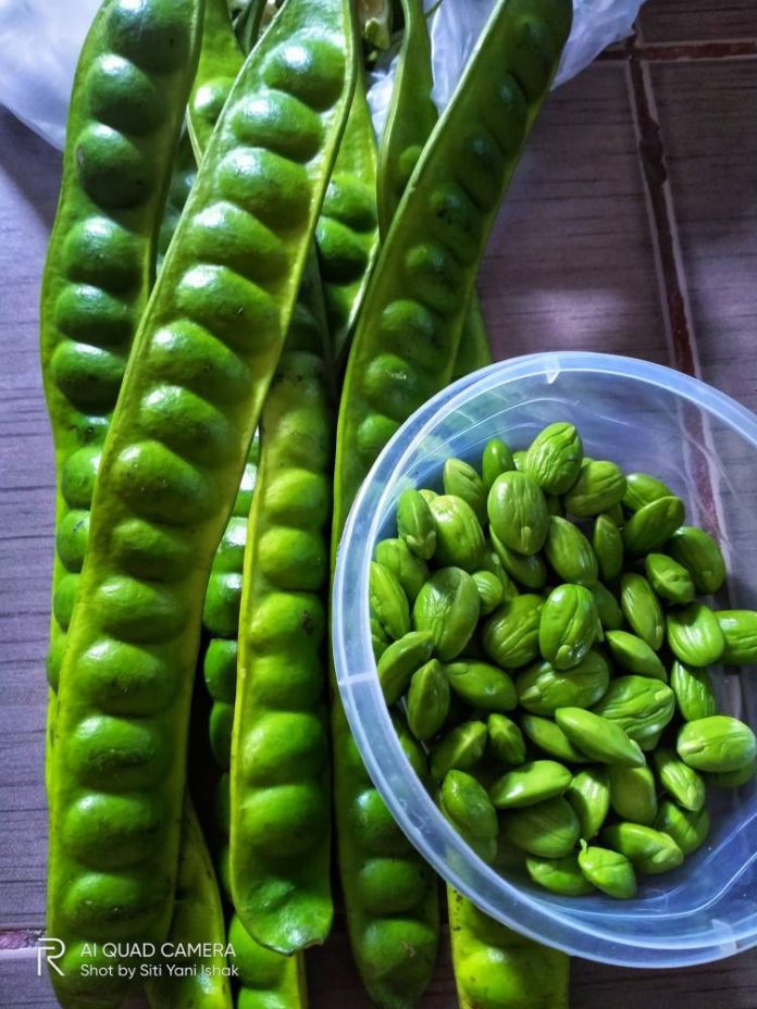 Resipi Ban Manis, Roti Kosong Sedap Bubuh Pelbagai Inti, Cubalah Buat ...