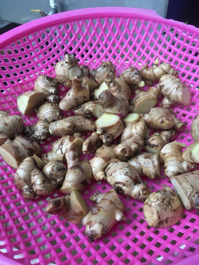 Gaul Dengan Tepung Gandum SEBELUM Goreng, Rahsia Ikan Bilis Kekal ...