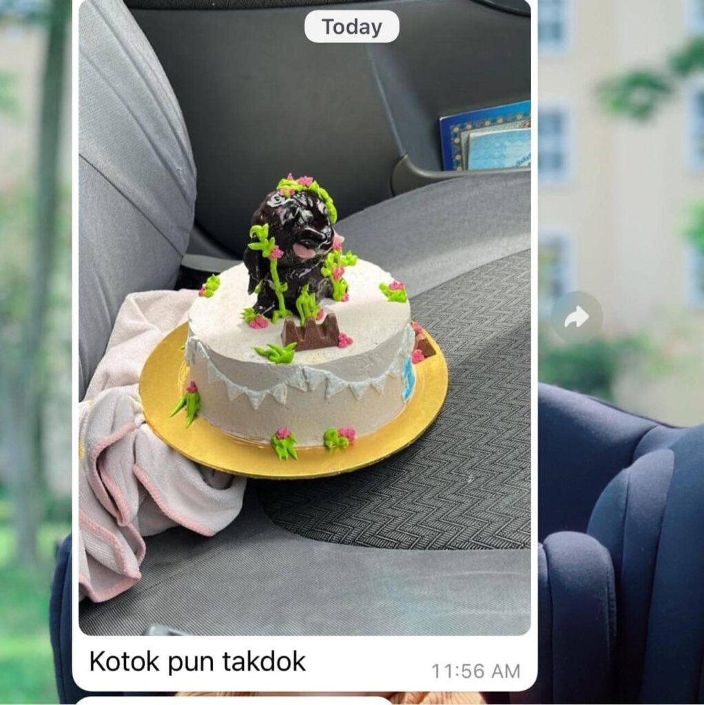 Ibu Tempah Kek Tema Gajah Comel Birthday Anak Usia Setahun, Dapat Anak ...