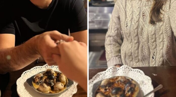 Siput Escargot? Halal ke dimakan? Ini penjelasan Pejabat Mufti Wilayah ...